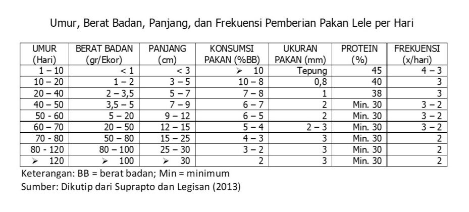 Segmentasi Bisnis Lele - AGRIKAN